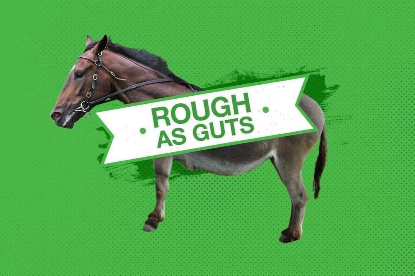 Rough As Guts: Roughie tips for Saturday's racing