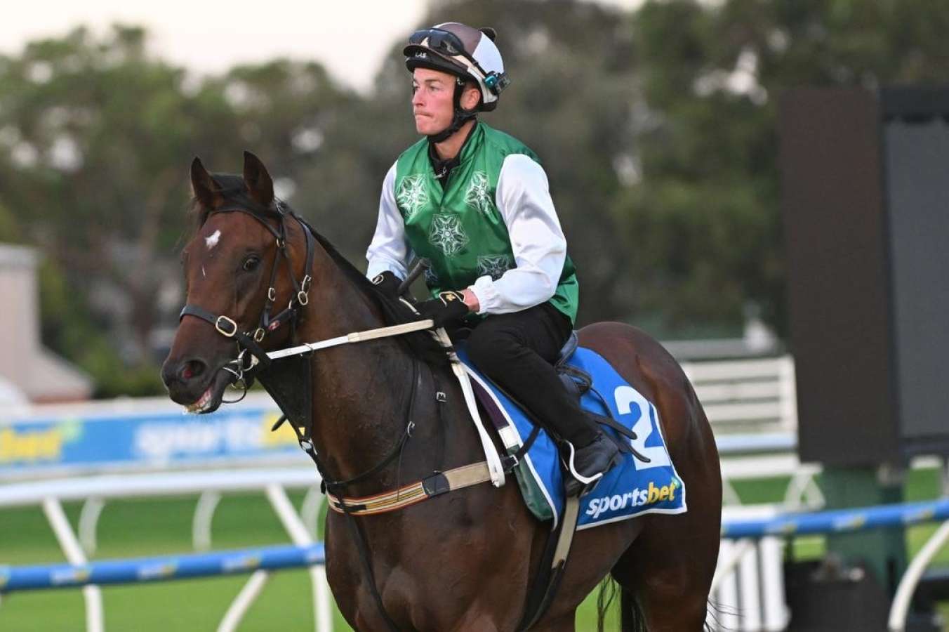 Mystery bargain gives Rory Hunter Blue Diamond Stakes shot