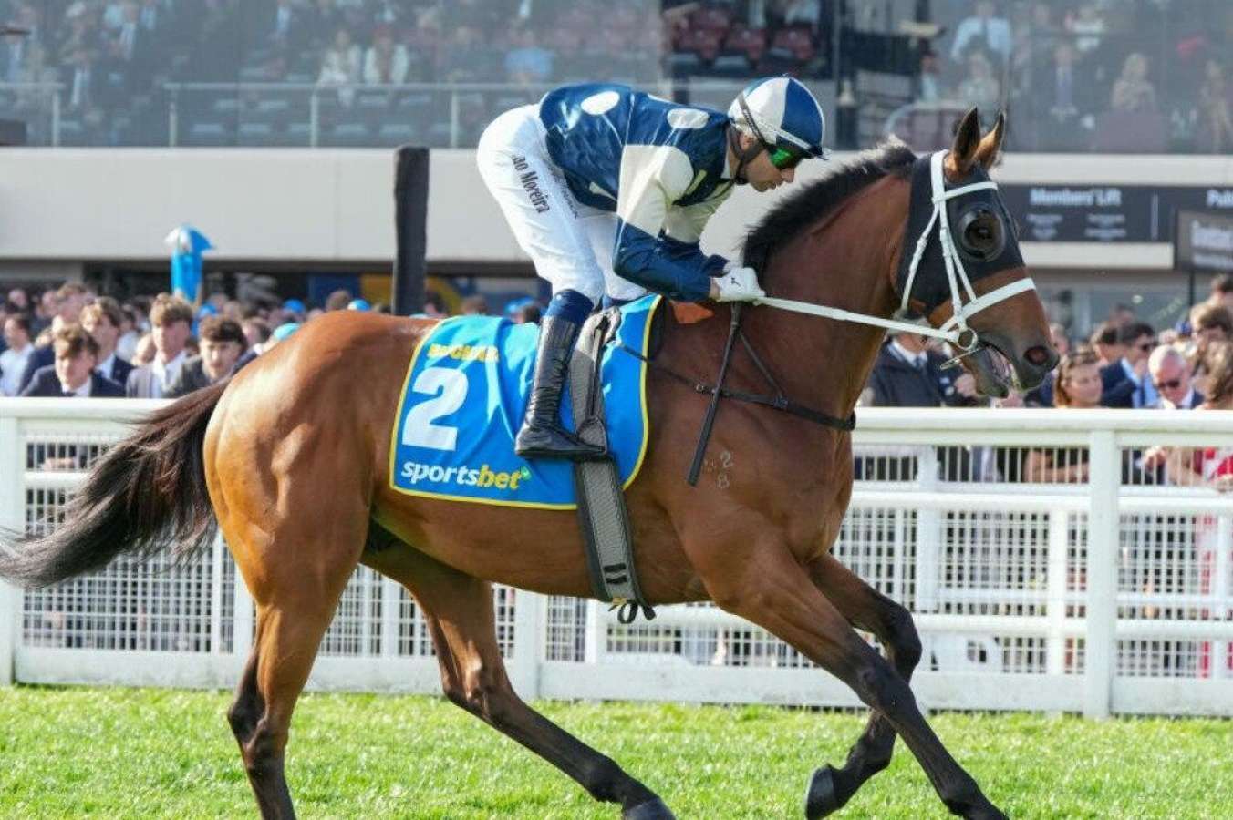 Why you should back the 2024 Melbourne Cup favourite Buckaroo