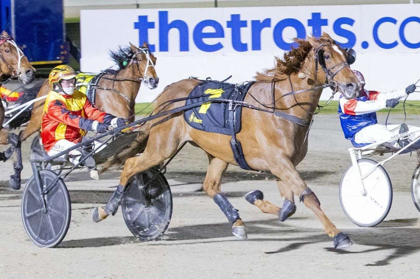'Got to pinch yourself': Trainer's amazing Inter Dominion feat