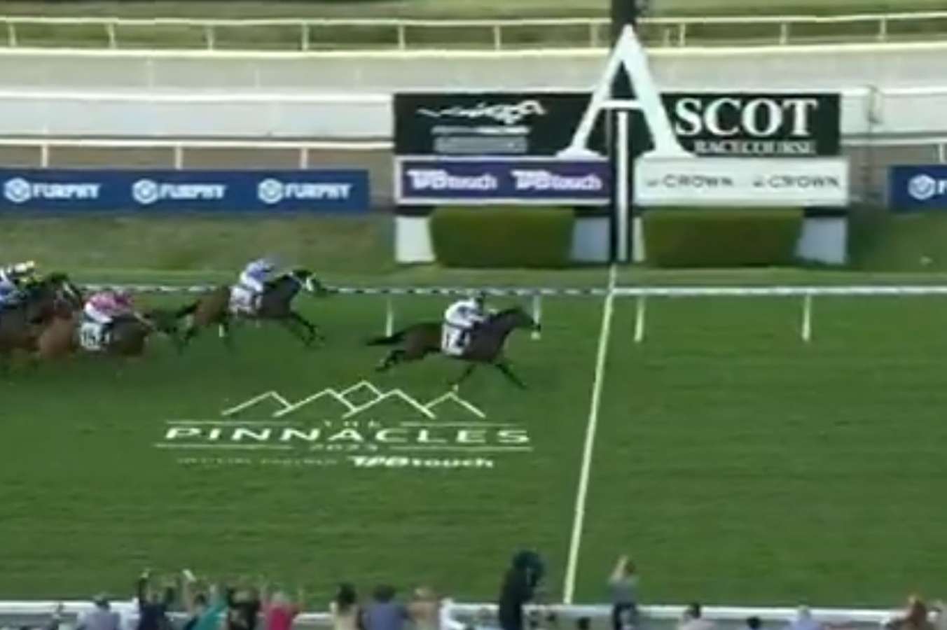 G1 Winterbottom Stakes: Final field and barriers