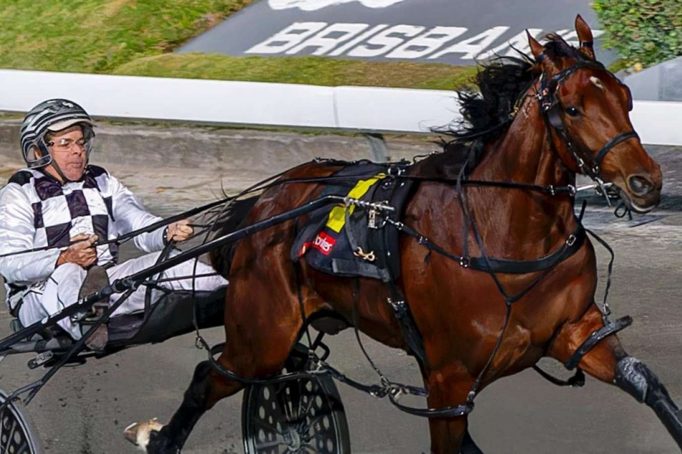 Leap To Fame drawn to order to launch Inter Dominion assault