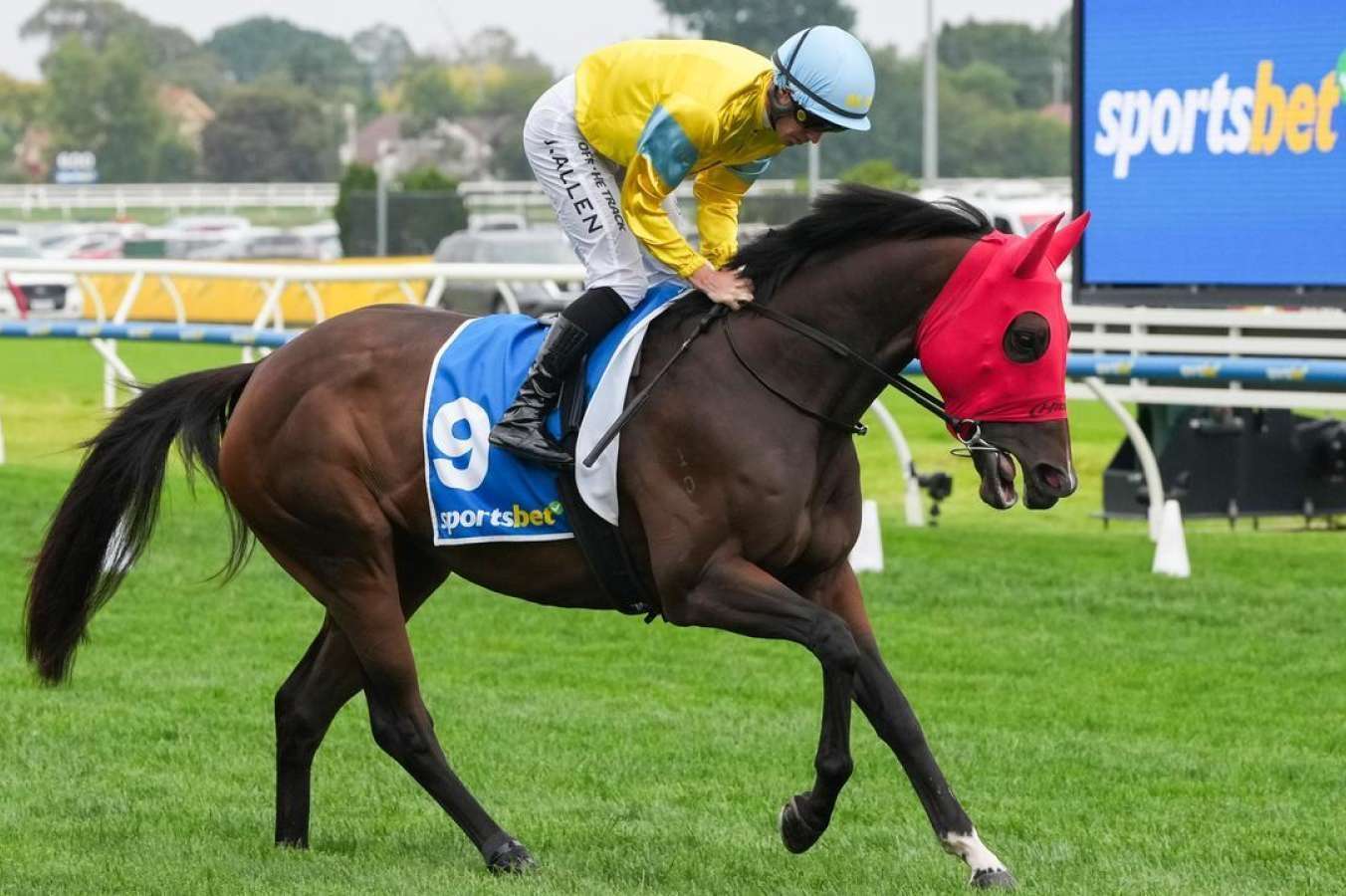 2025 Futurity Stakes: Daniel Morton saddles up Super Smink