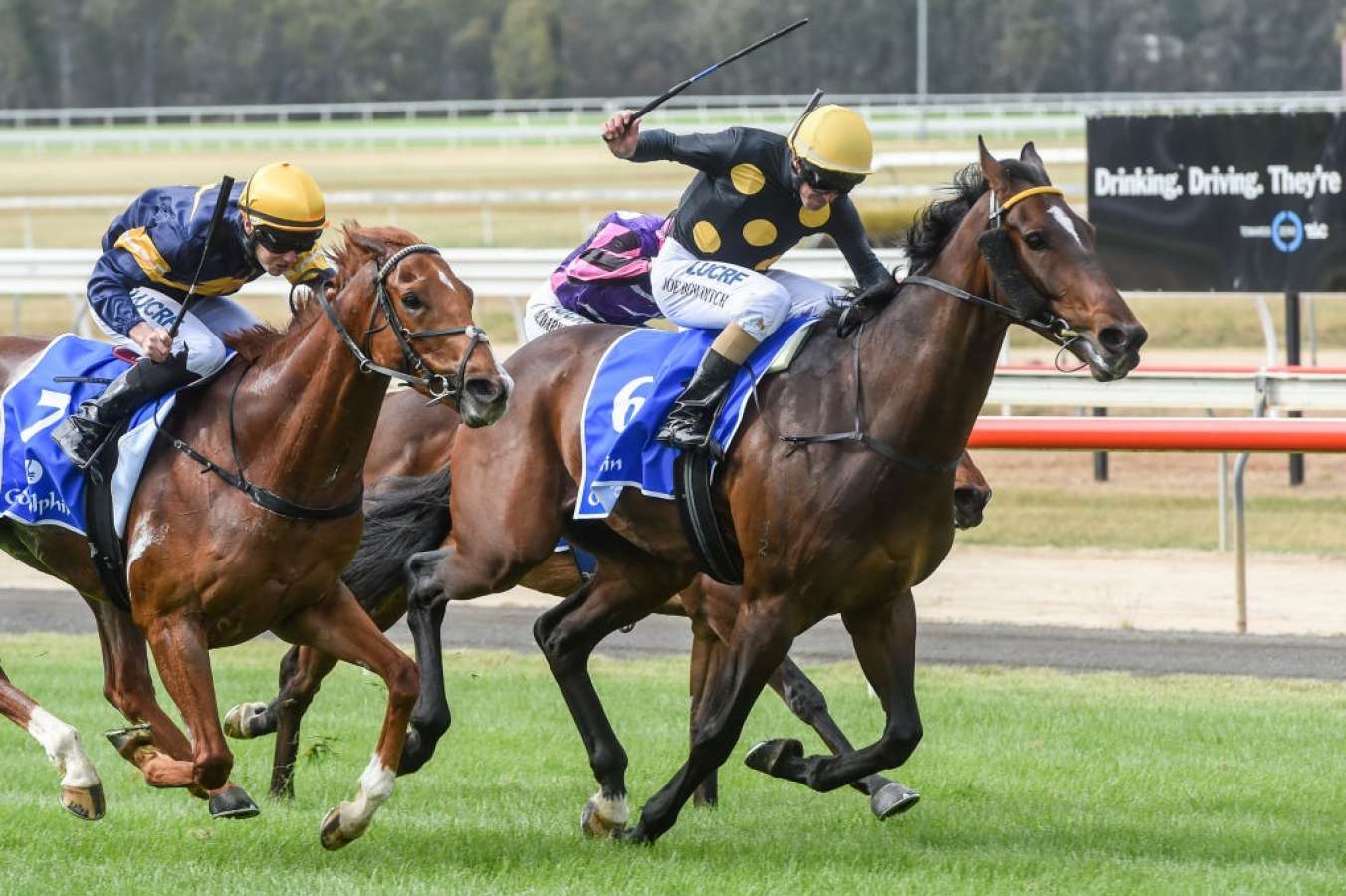 Morphettville Parks preview