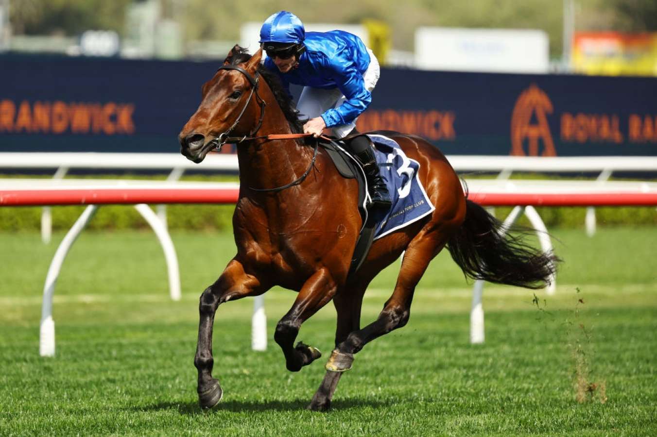 James Cummings previews his Saturday runners