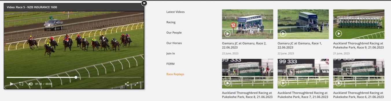 Free Race Replays Horse Racing