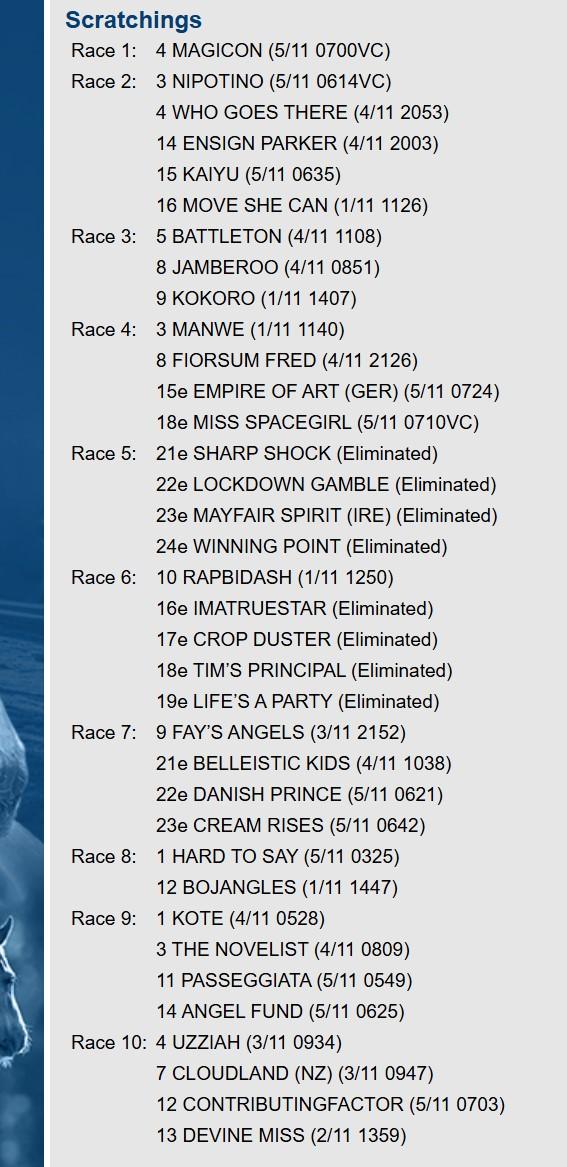 Melbourne Cup Day 2024 scratchings