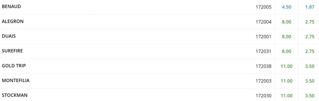 11 things you wont hear this spring racing carnival