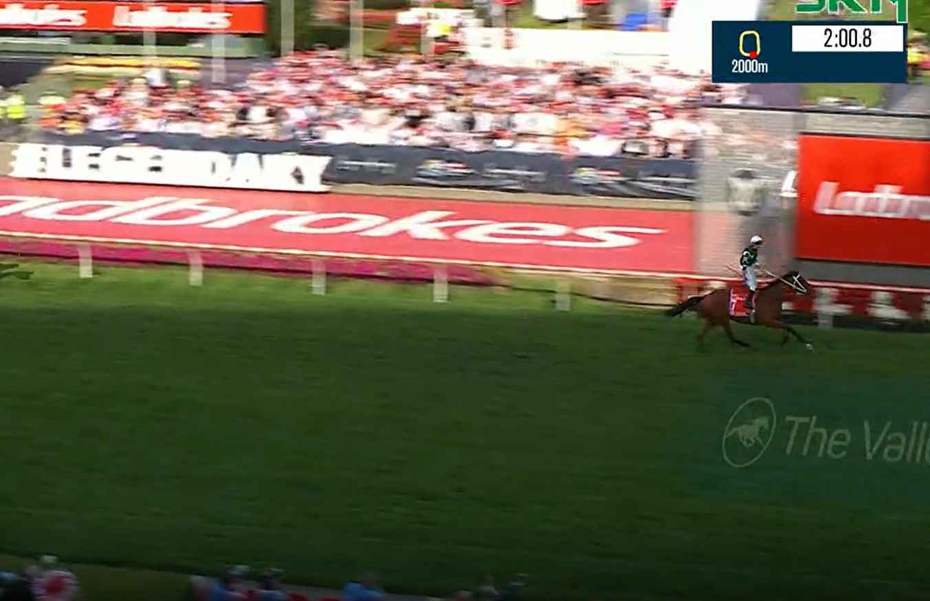 Cox Plate Day 2024 - Relive all the News & Results