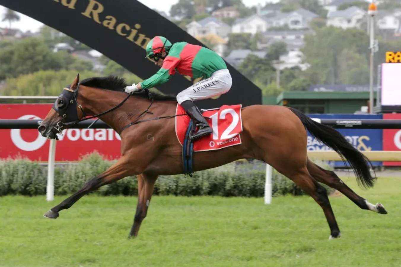 New Zealand Horse Racing (Ultimate Guide) - Punters