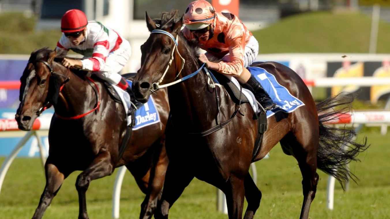 Tony Brassel's Top 20 Australian racehorses of all time