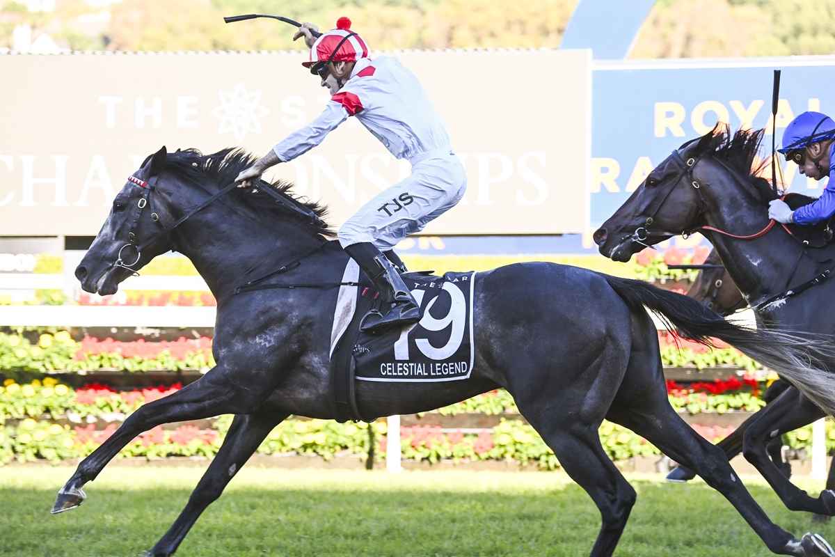 Doncaster Mile Results 2025 - Punters