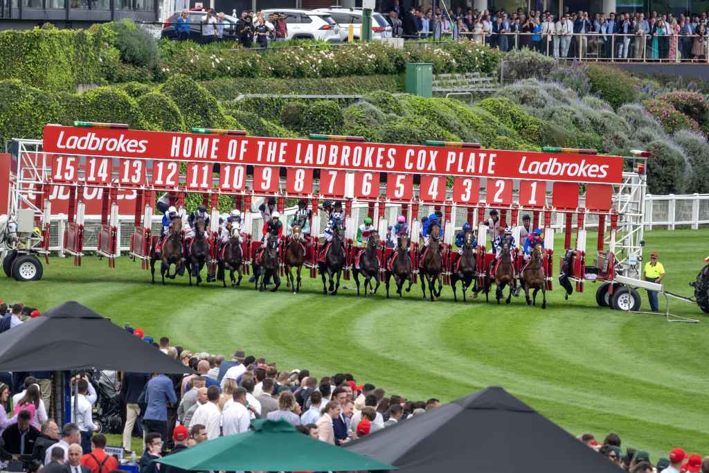 Cox Plate 2025 Field - Punters
