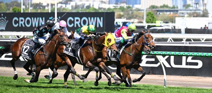 Melbourne Cup 2025 | Horses, Field, Odds, Results