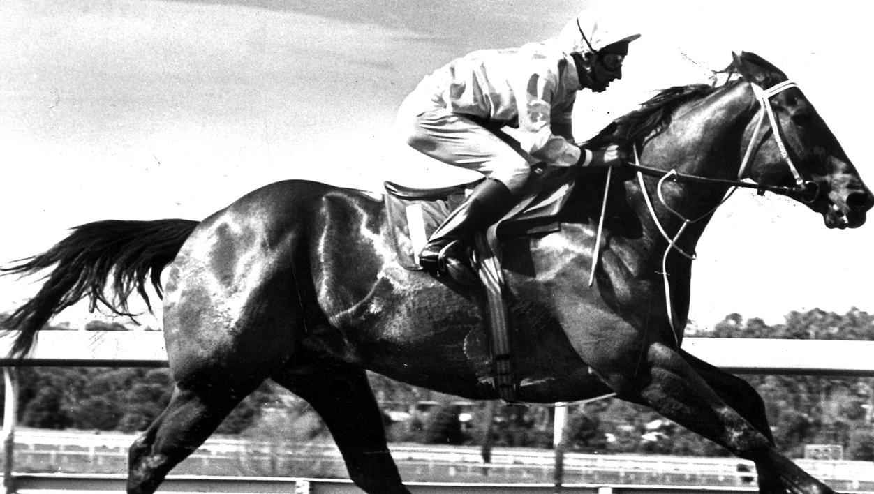Tony Brassel's Top 20 Australian racehorses of all time