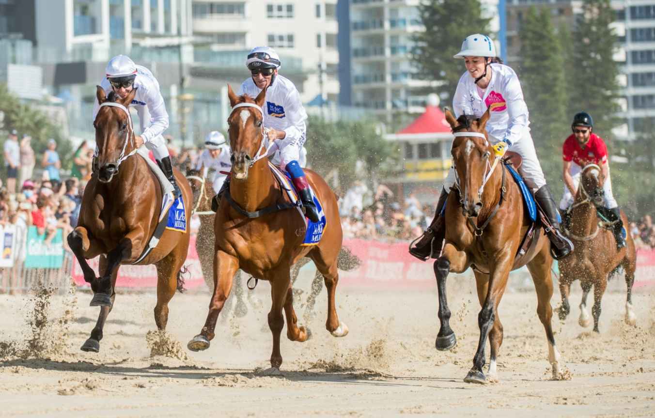 Magic Millions Race Day 2025 - Punters