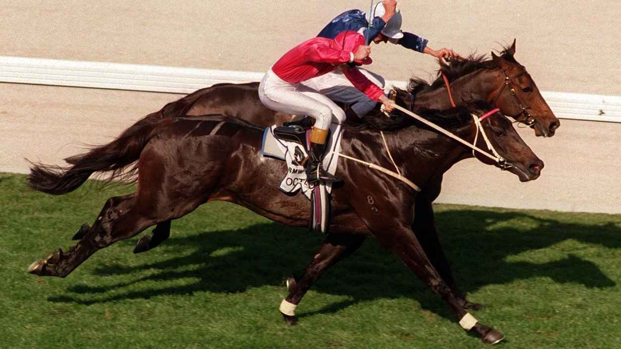 Tony Brassel's Top 20 Australian racehorses of all time