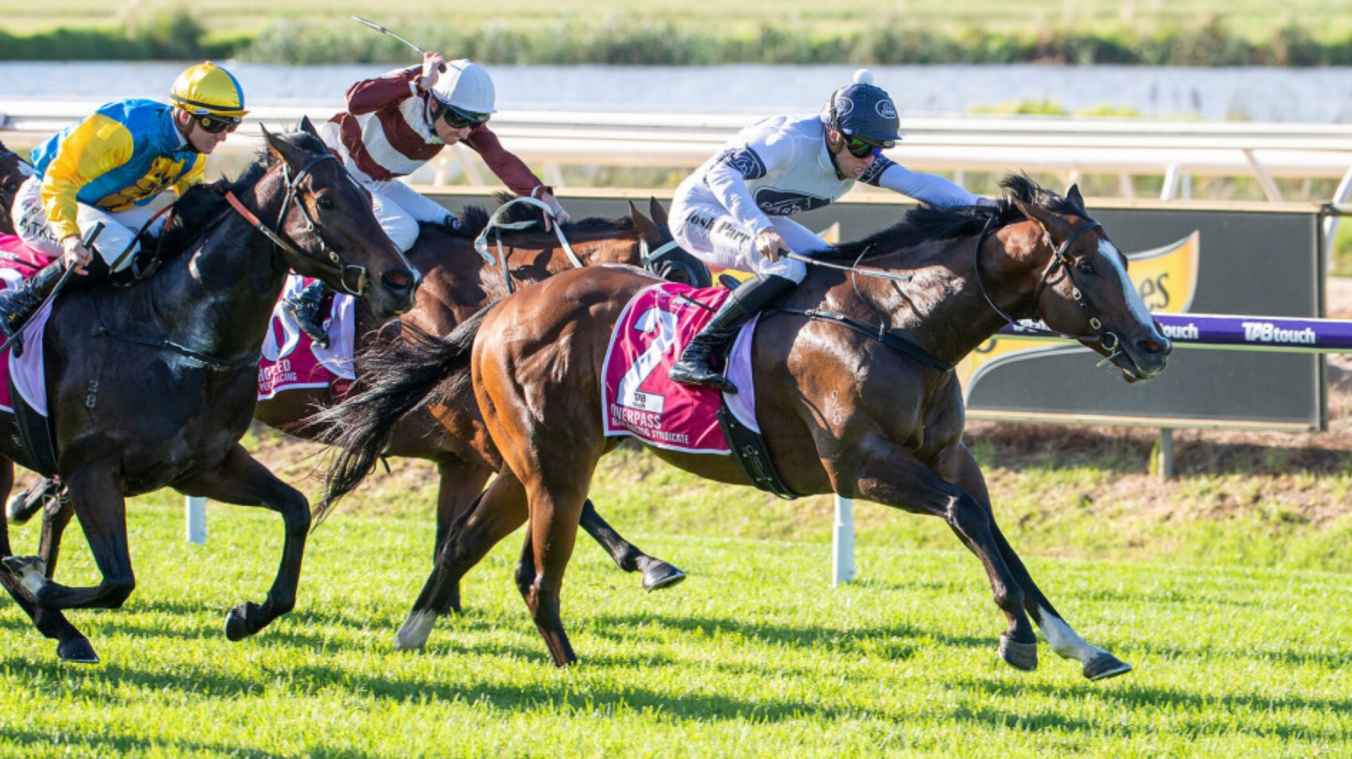 The Quokka 2024 - Betting, Field, Odds & Tips