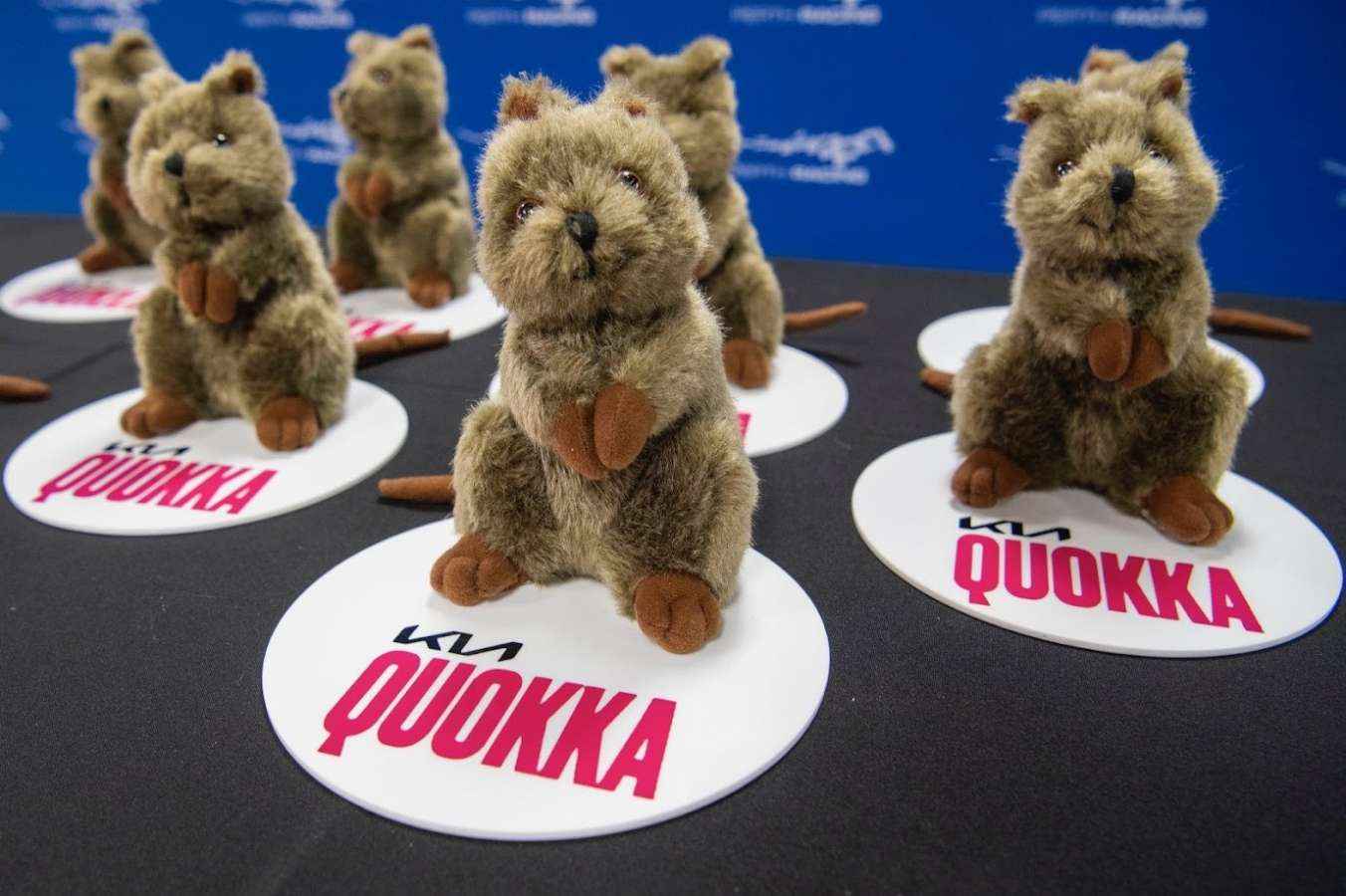 2026 The Quokka - Field, Odds & Tips