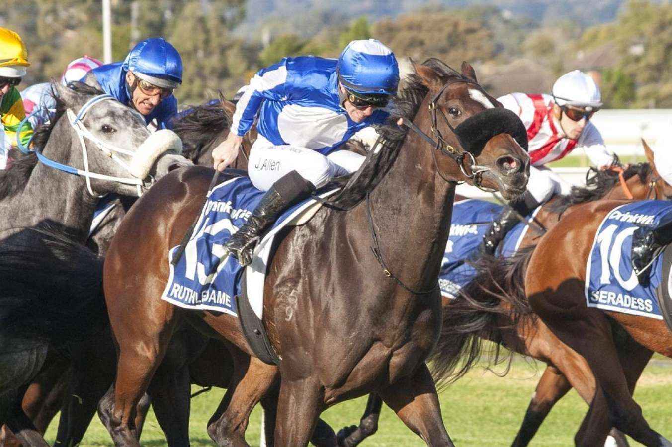 Adelaide Autumn Racing Carnival 2025 (Dates & Main Races)