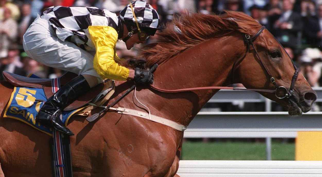 Tony Brassel's Top 20 Australian racehorses of all time