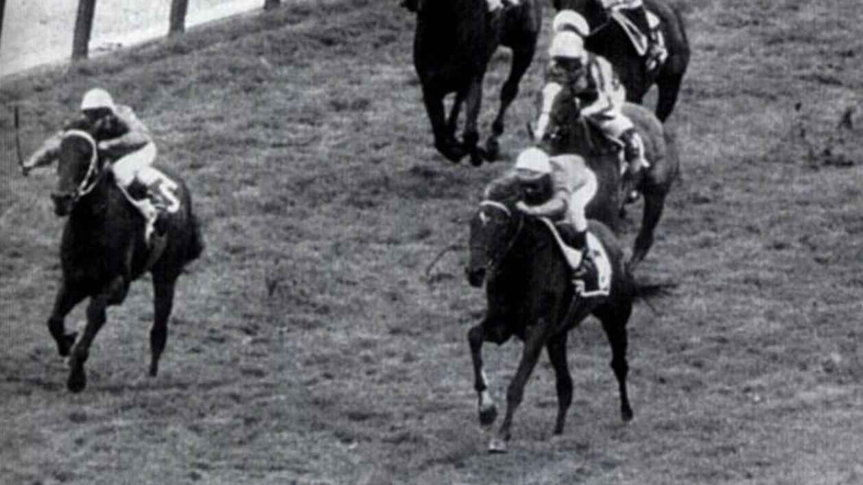 Tony Brassel's Top 20 Australian racehorses of all time