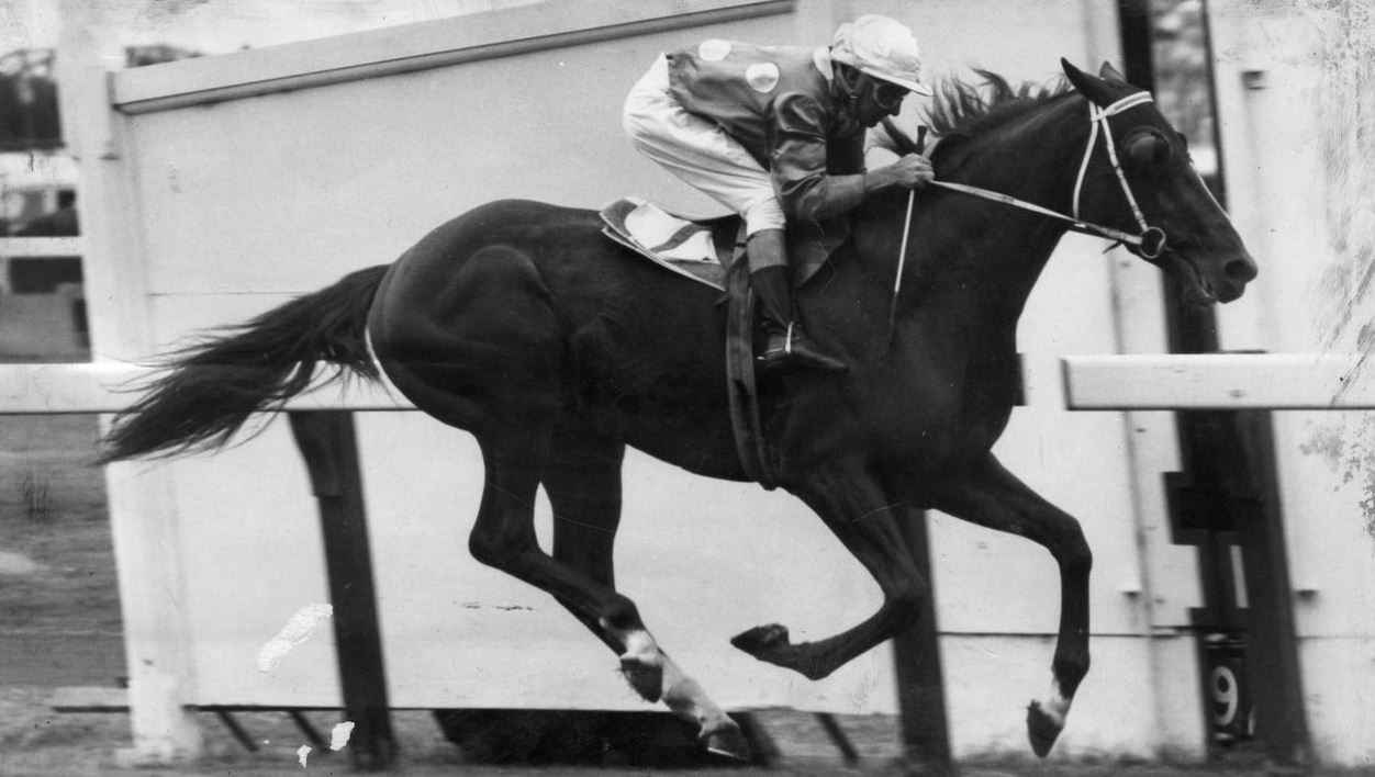 Tony Brassel's Top 20 Australian racehorses of all time
