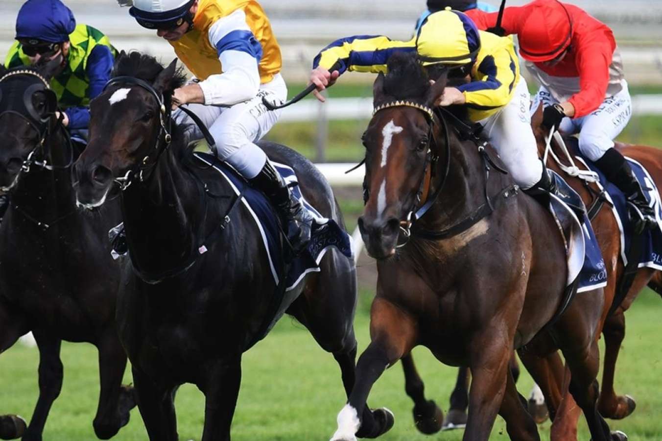 2024 Queensland Oaks: Jockey Blake Shinn says Molly Bloom will 'be ...
