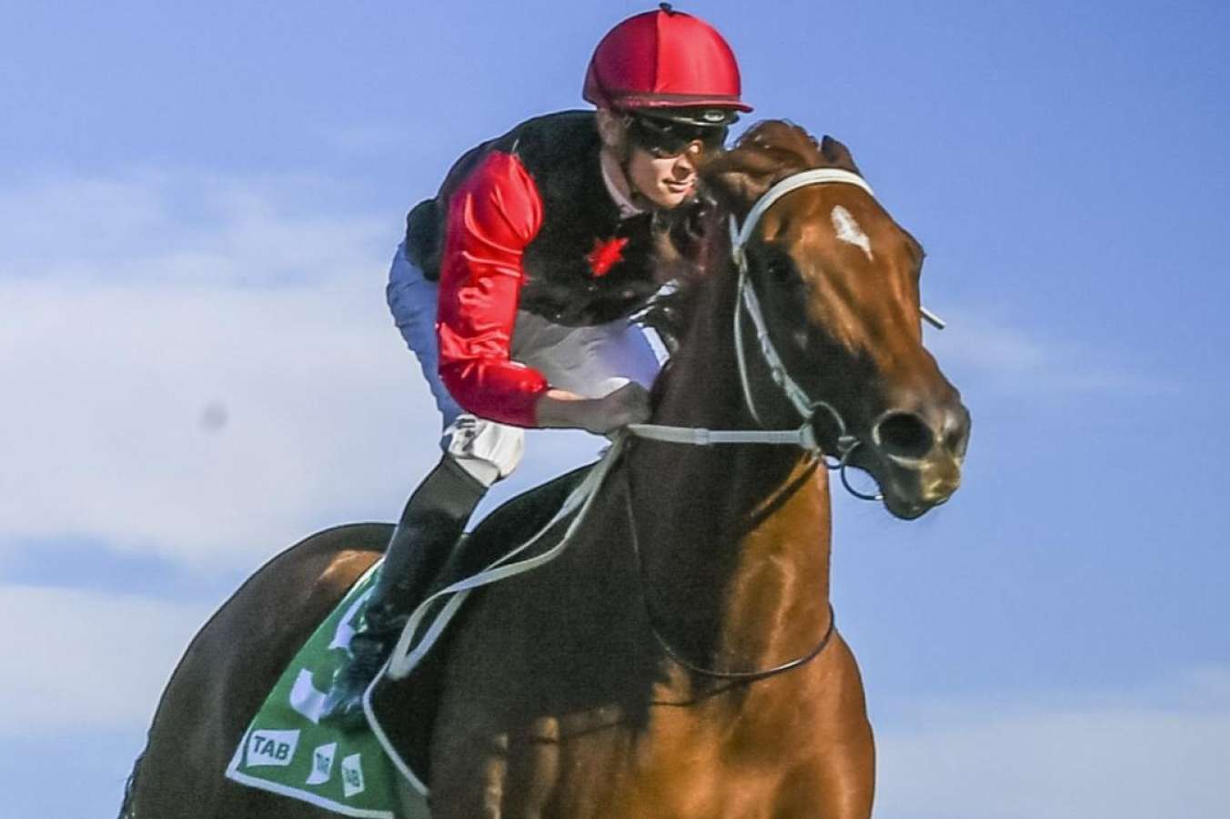 'It's a $3 million race': Opal Ridge holds key to Stradbroke field