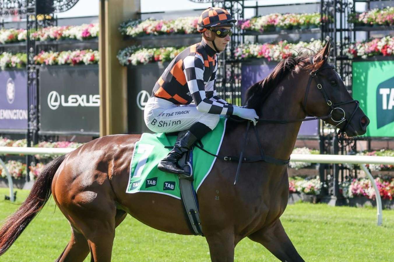 Bumper fields for Stradbroke Handicap Day