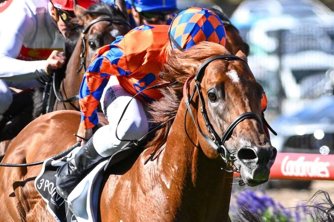 Nick Ryan expects top show from Johnny Rocker in Group 1 Moir Stakes at ...