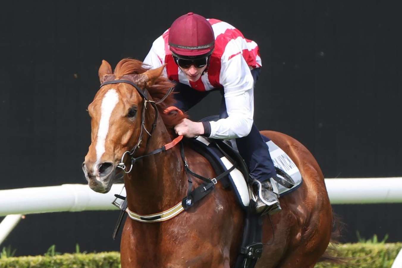 'Superb' Giga Kick on track for next The Everest audition