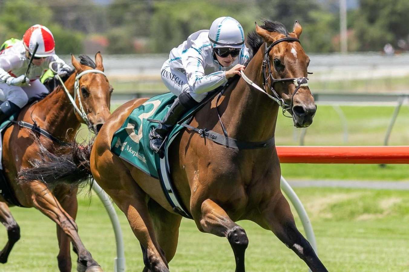 Cody Reardon seeks change in fortune as he welcomes back his stable gun