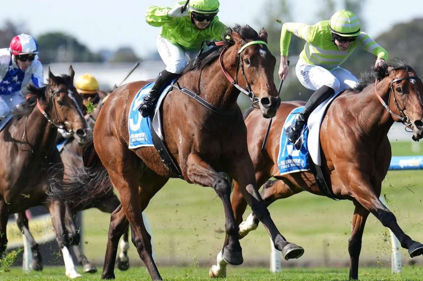 Dan O'Sullivan to run Berkeley Square in 2024 Coongy Cup