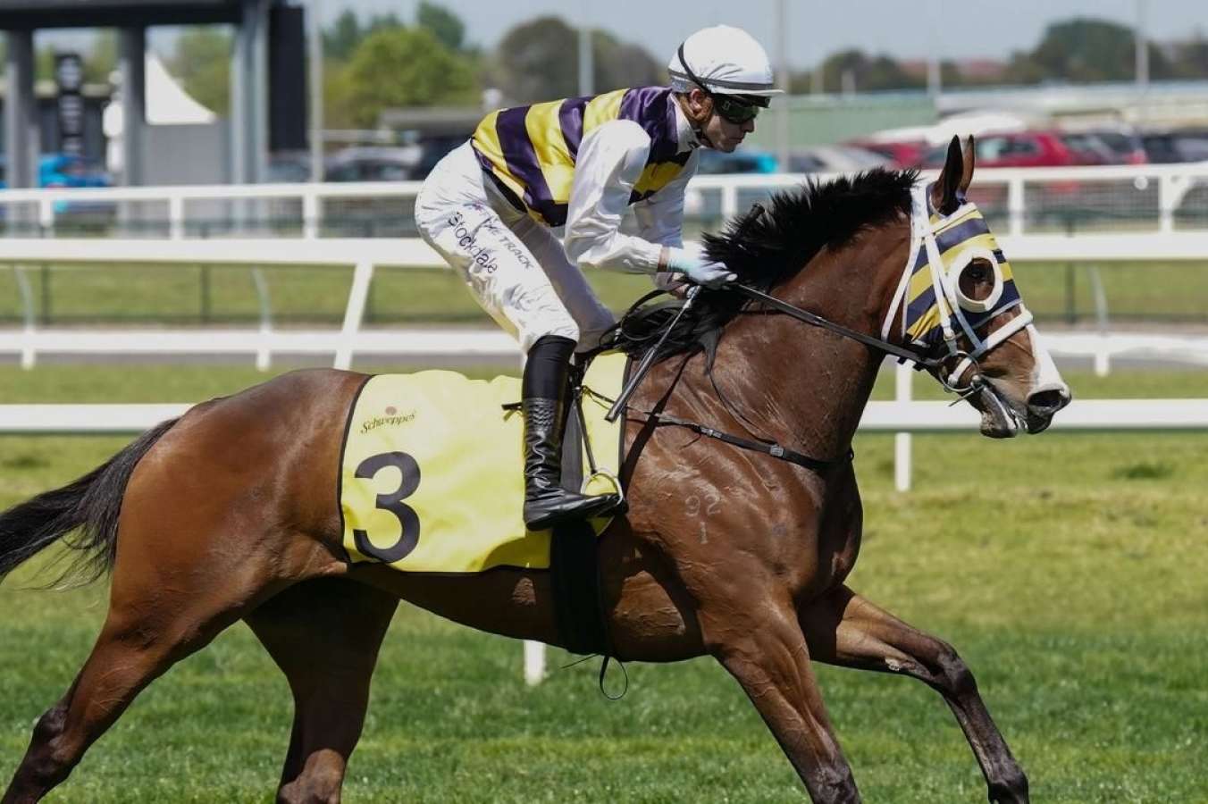 Group 1 trainer Phillip Stokes eyes VRC Oaks heist with Femminile