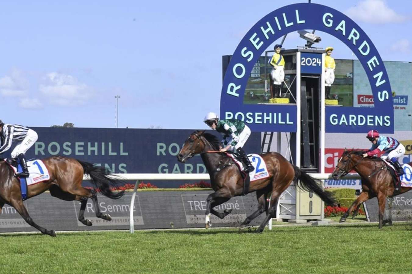Tips and preview for Wednesday's card at Rosehill