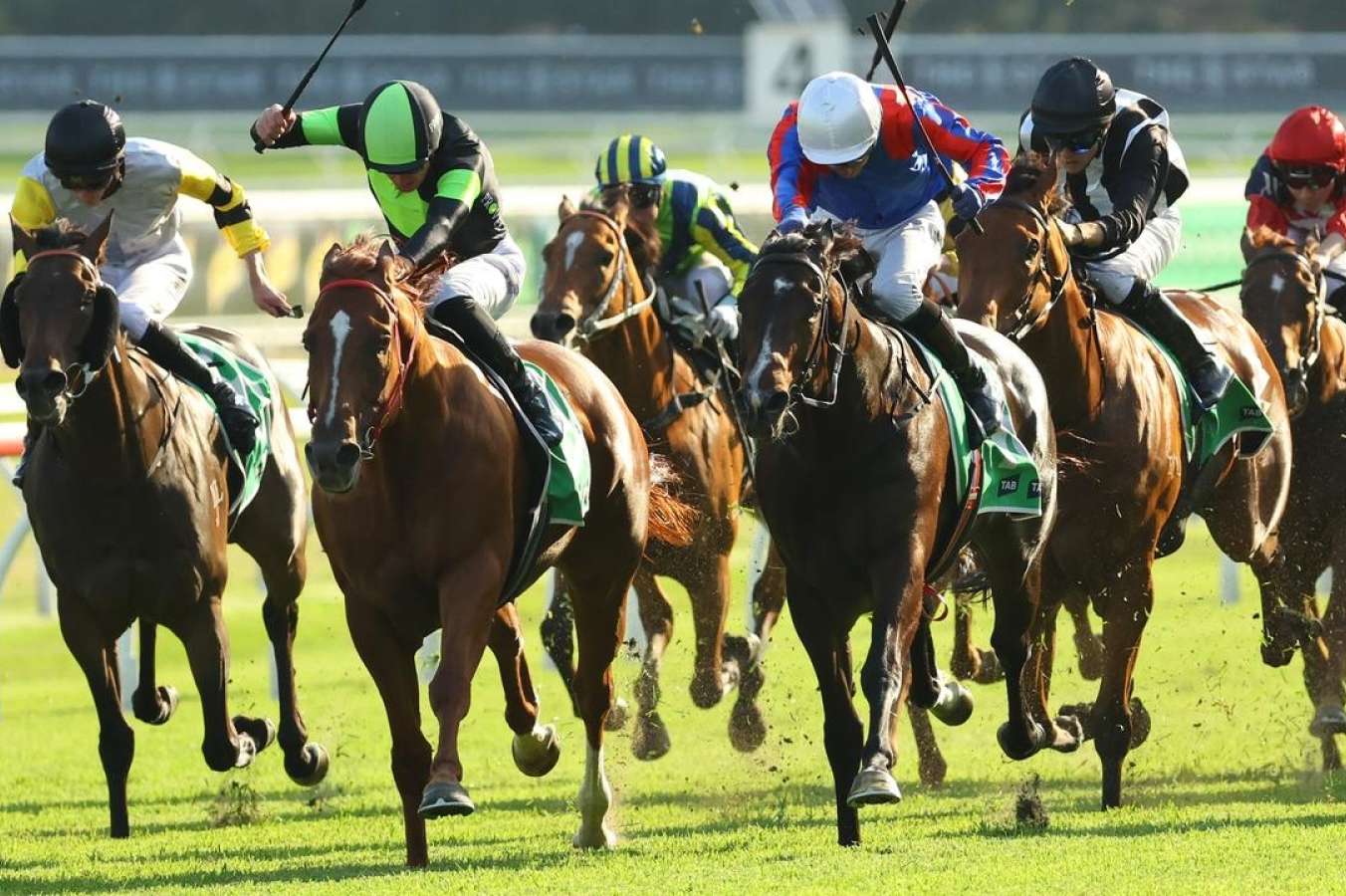 Trainers John O'Shea, Tom Charlton saddle Yorkshire at Wyong