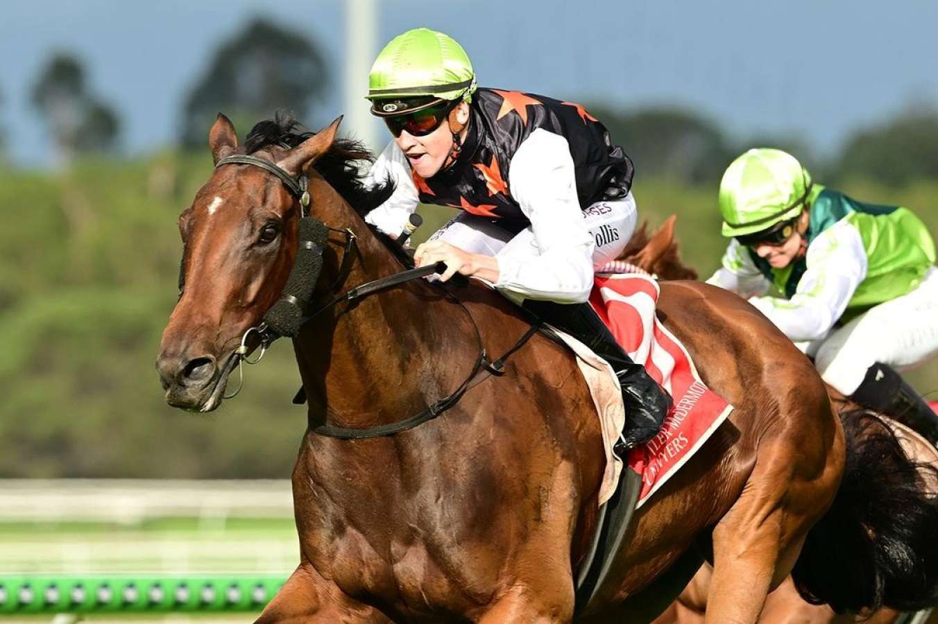 Queensland trainer Ben Ahrens daring to dream with $3000 bargain buy ...