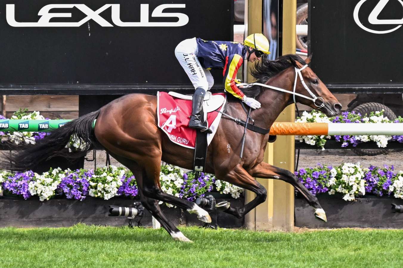 Andrew Gluyas confident Goldrush Guru can bounce back in ATC Derby ...