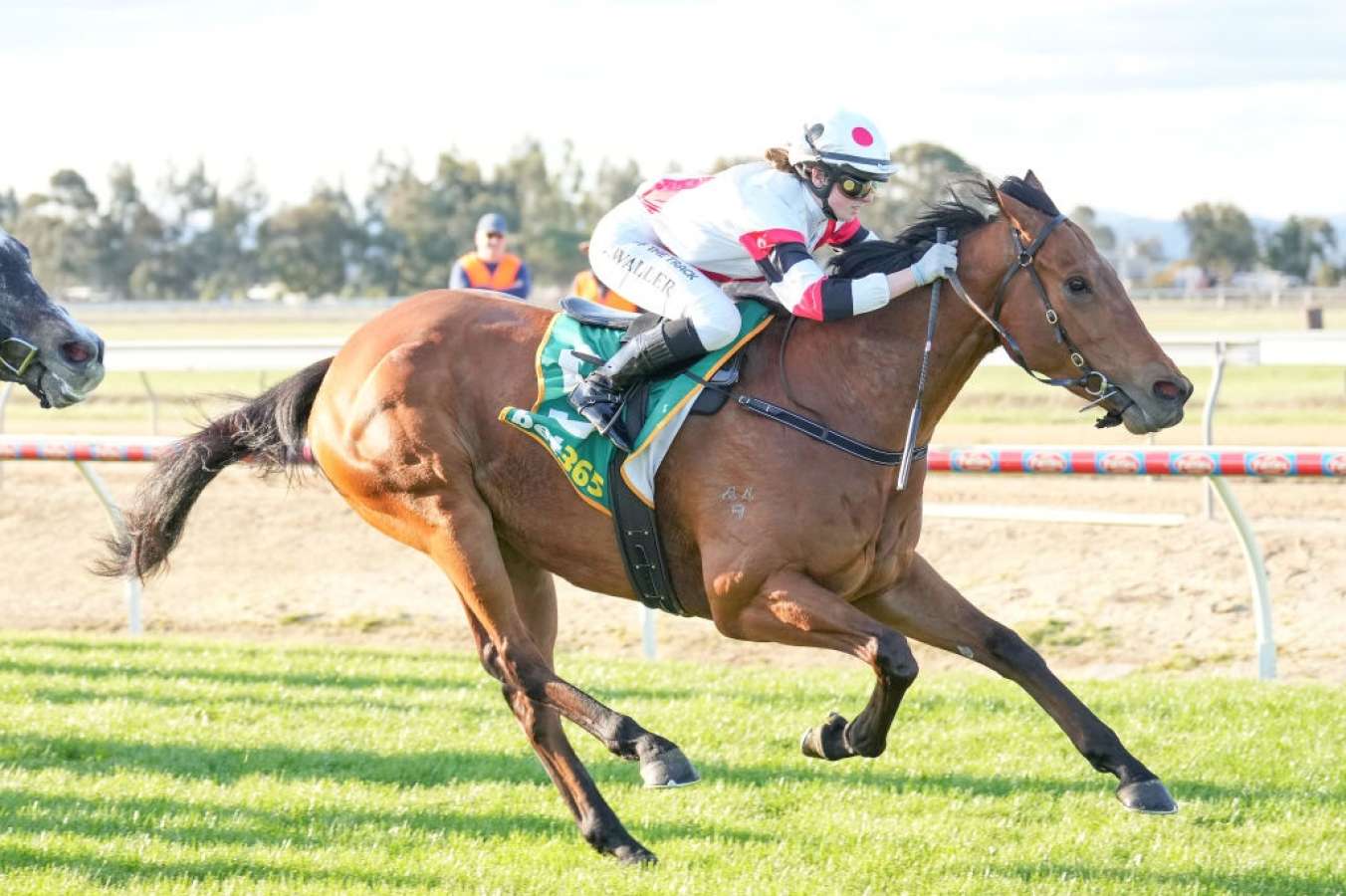 Daniel Sankey's Sale tips: Tuesday, April 8, 2025