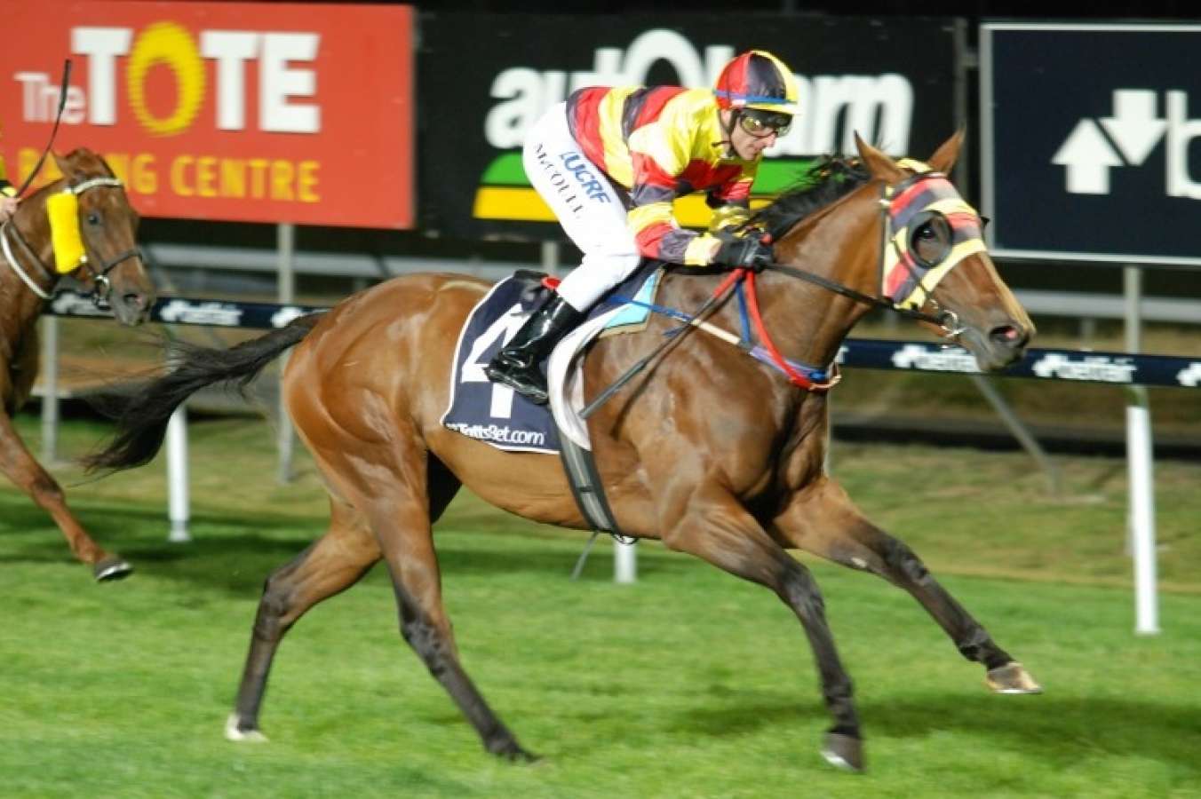 Launceston to host Saturday night racing