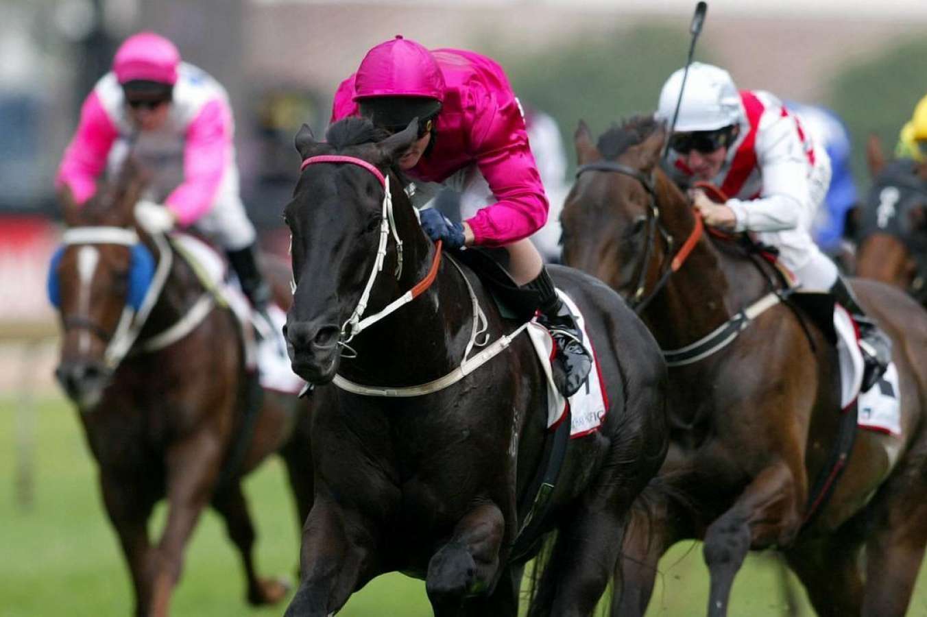 Lonhro dies: Tributes flow for superstar racehorse