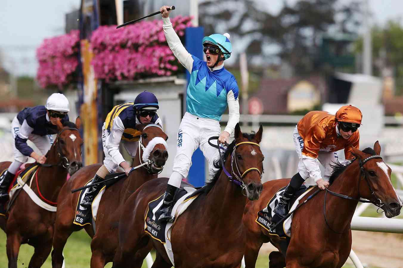 Admire Rakti to run in Melbourne Cup