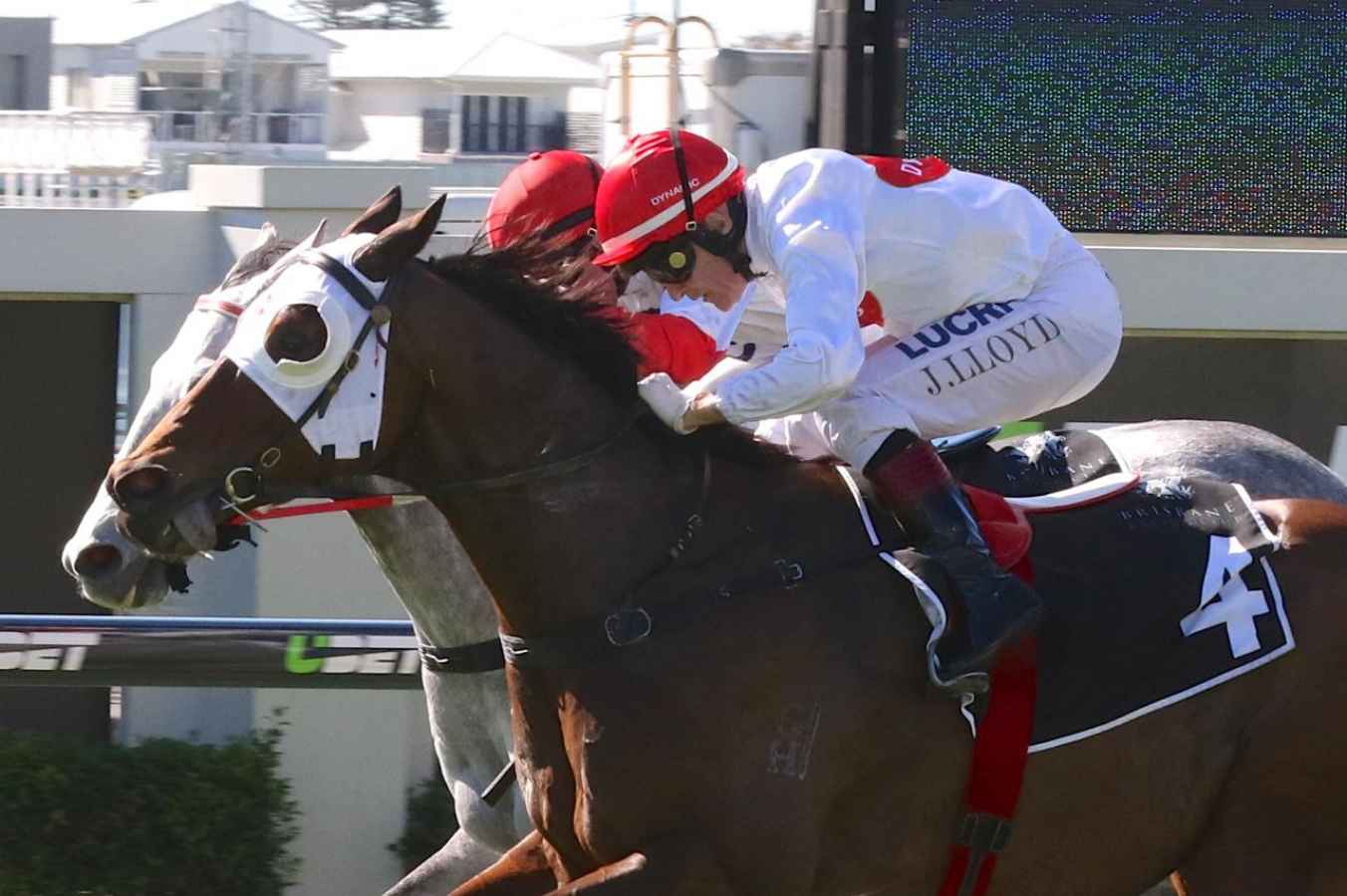 Jeff Lloyd poised for history-making title