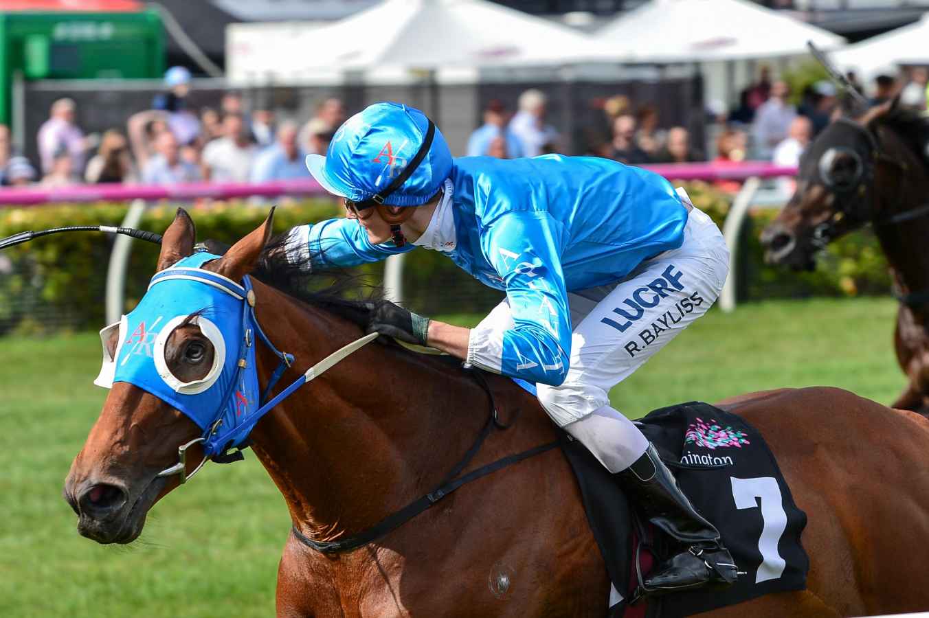 Adelaide Cup mission for Bagot Hcp winner