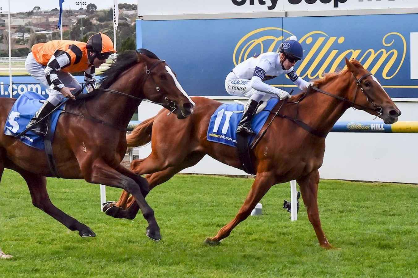 Athena Lass makes winning debut at Valley