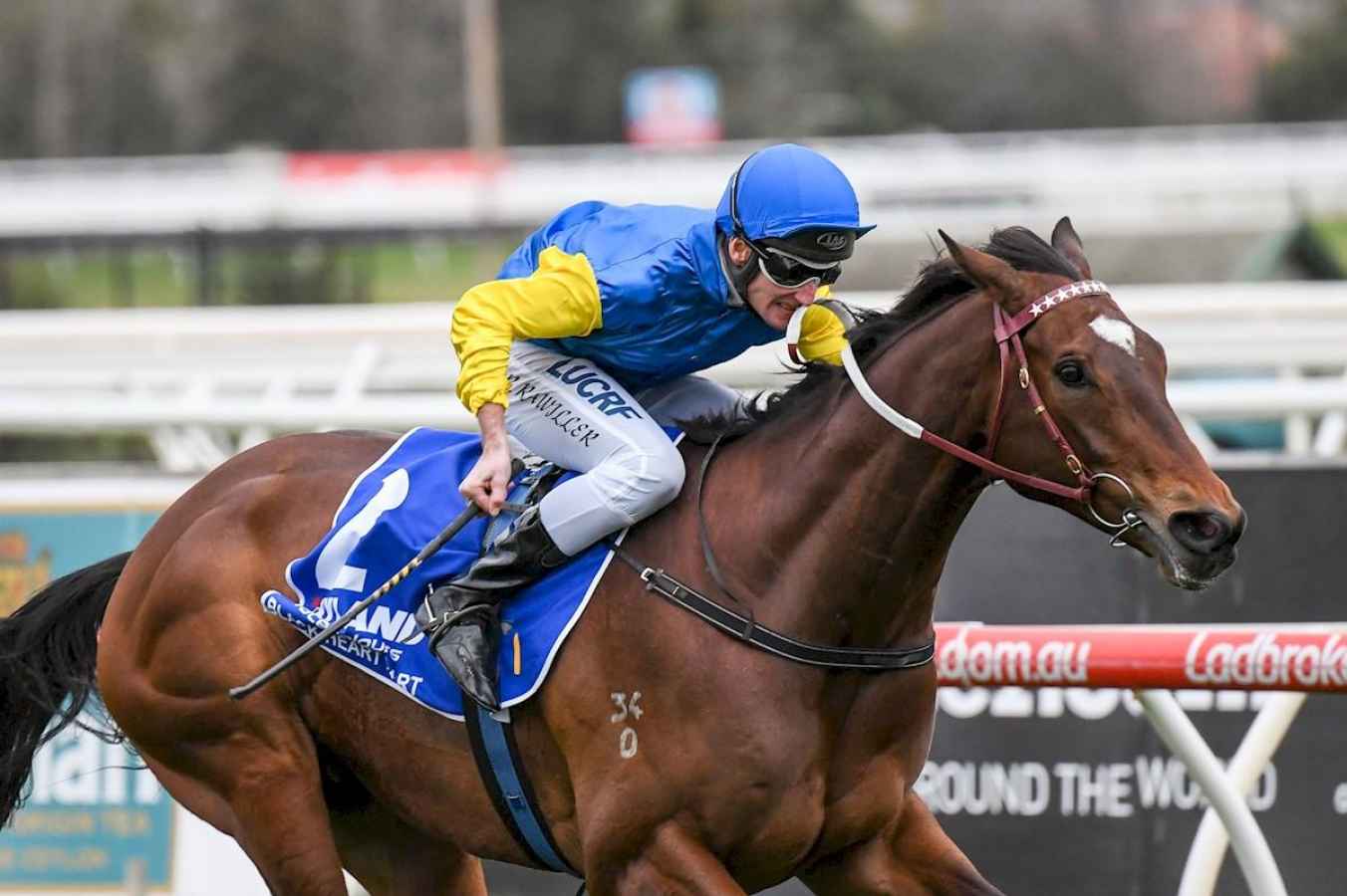 Black Heart Bart wins G1 Underwood Stakes
