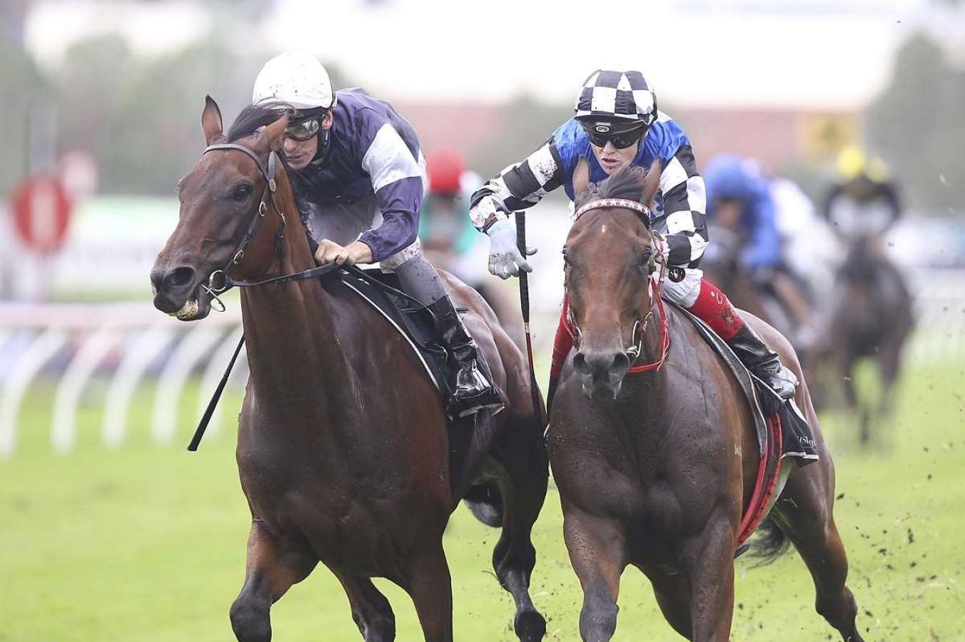 Big Duke gives Weir first Sydney winner