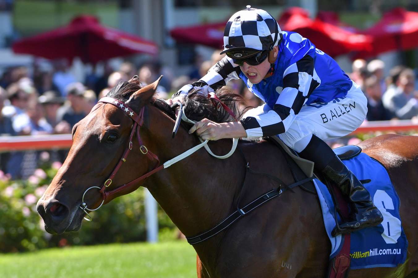 Big Duke set to break another drought