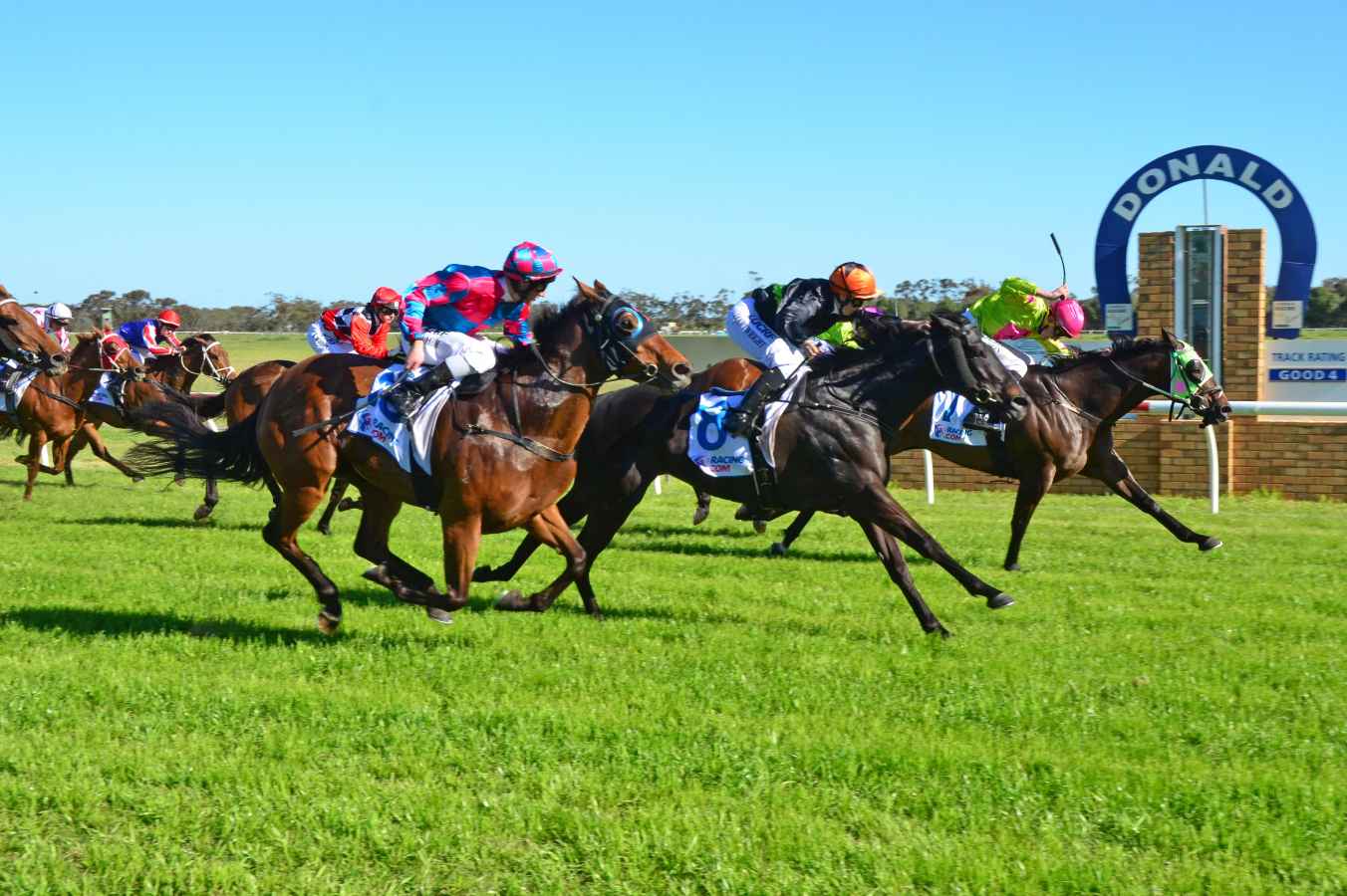Ziggy and Tiggy: Two of racing's great bridesmaids